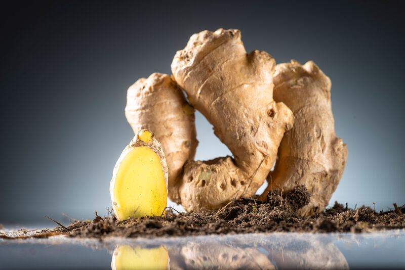 Ingwer – Wissenswertes und Rezepte | famila Nordost